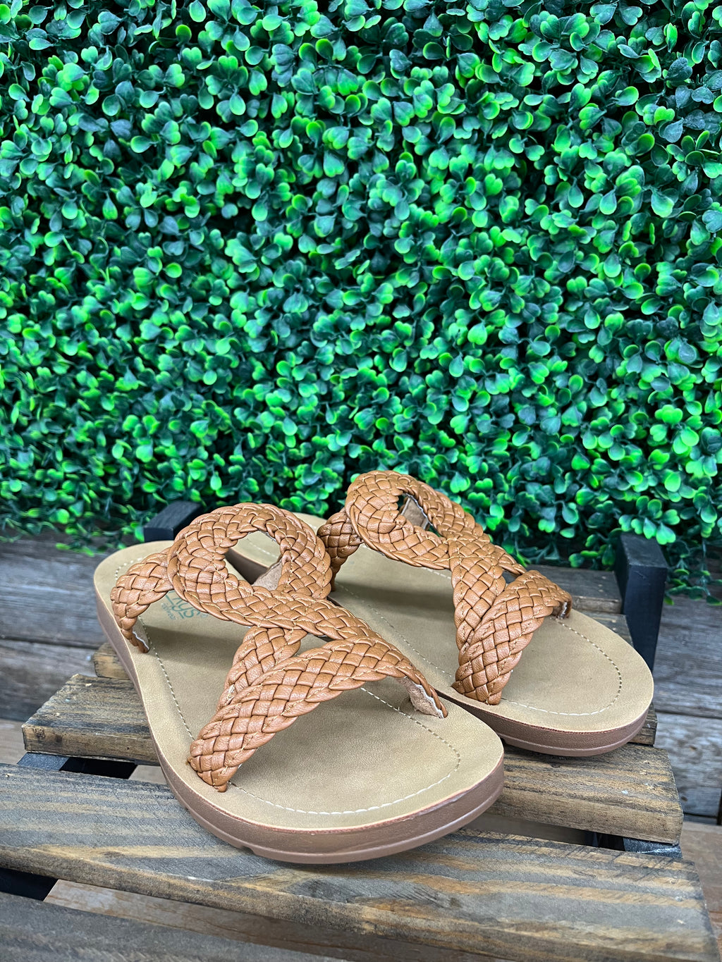 Corkys All Tangled Up Sandal – LeiMarie Limited